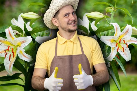 3 Reguli De Bază Pentru Crini Ca în Basme Ce Le Fac Grădinarii