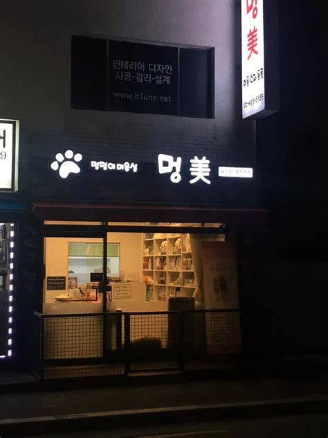 멍미 서울 광진구 애견동반 미용