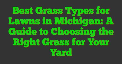 Best Grass Types For Lawns In Michigan A Guide To Choosing The Right