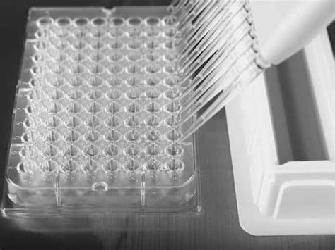 Blog Vitro Biotech Cell Lines CRISPR