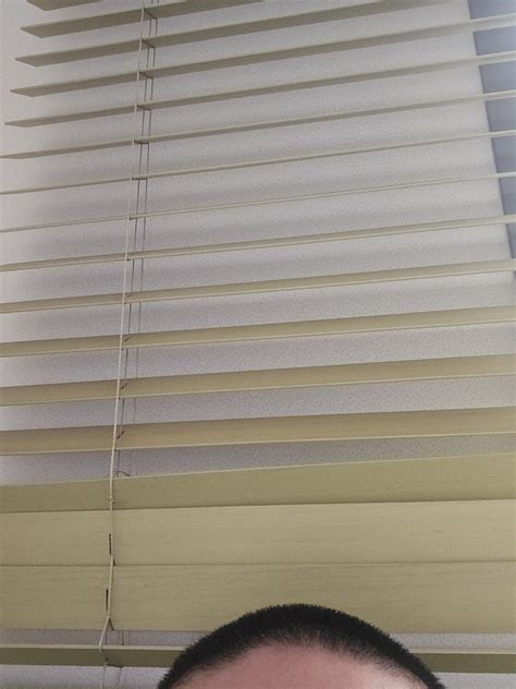인증 야구 에펨코리아
