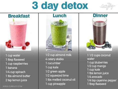 Homemade 3 Day Juice Cleanse Weight Loss Homemade Ftempo