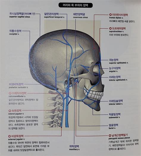 집짓기와 인문학적 힐링 Band