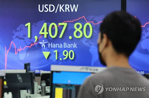 기업 선물환거래 도와 환시 숨통당국 환율보다 수급 개입 나무뉴스