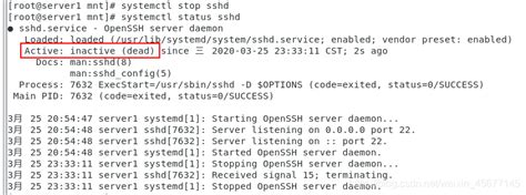 Linux基础 服务管理 Systemctl命令 网络管理（虚拟机可以上网了）systemctl Reboot Csdn博客