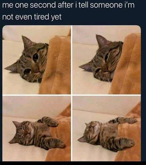 I Havent Slept At All Yet Meme Guy