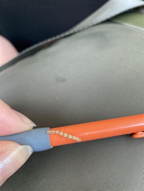 Identification Of Inchworm Found In Massachusetts Approximately 1 Inch Length Rwhatisthisbug