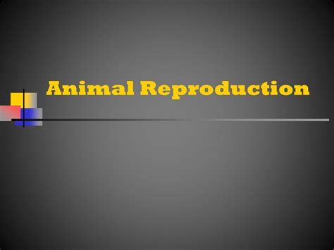 Ppt Animal Reproduction Powerpoint Presentation Free Download Id