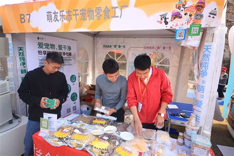 2019年南京宠物文化节
