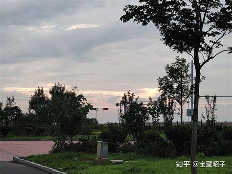 那些温柔的文案 知乎