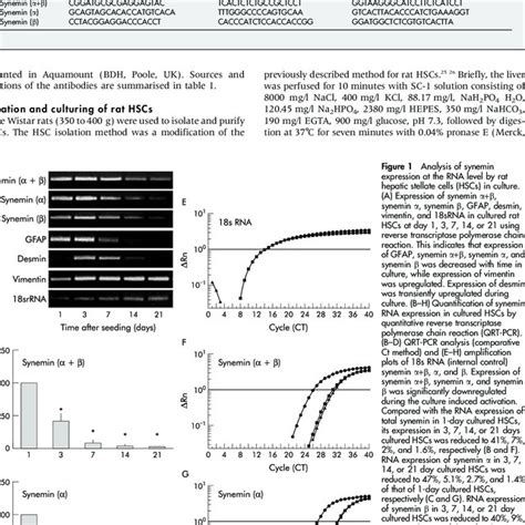 Sequence Of Primers And Probe Primers And Probes For Quantitative Download Table