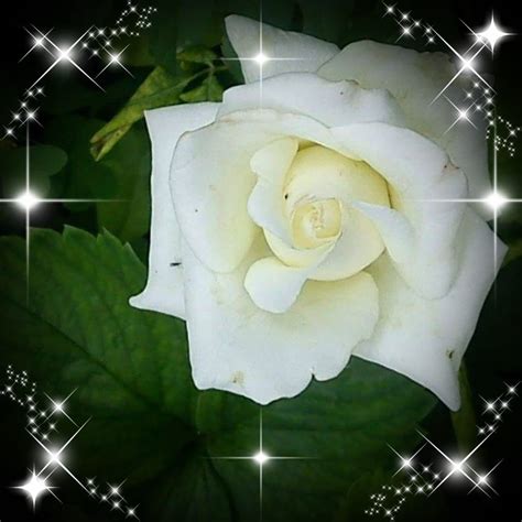 ПриватБанк Посівна кампанія скоро почнеться А ми нагадаємо що ПриватБанк допоможе з