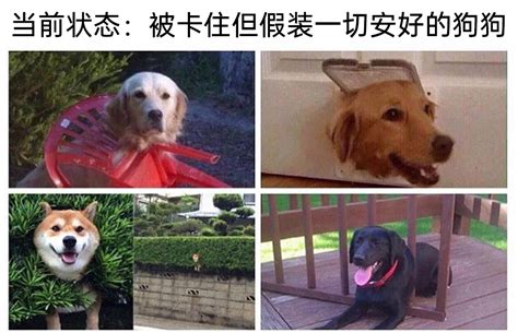 Meme梗图：远离生活中的垃圾人 哔哩哔哩