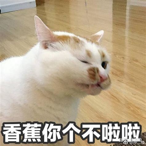 经管类实证研究分析（stata）论文详细全过程的经验总结——基础篇 知乎