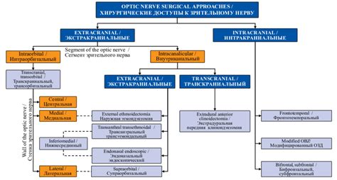 Surgical Approach Algorithm For Each Of The Optic Tracts Extracranial