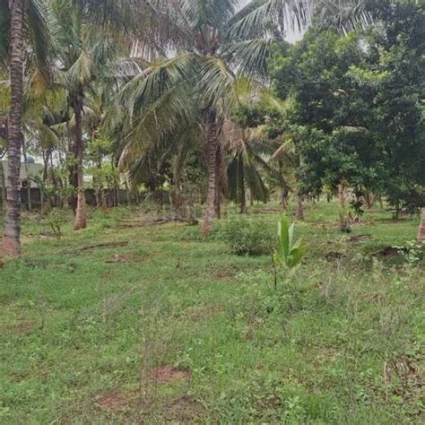 1025 Sqft Commercial Plot For Sale In Kinathukadavu Coimbatore Id