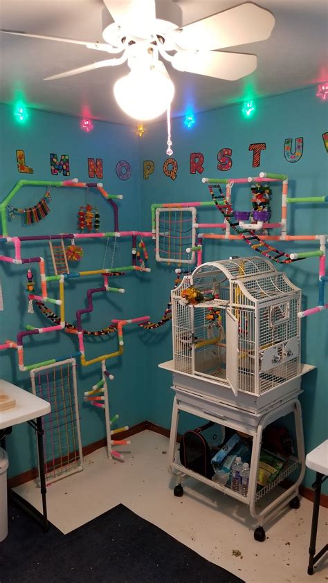 Diy Pvc Play Gym For Parrots Homemade Bird Toys