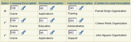 blaf guidelines flexfields custom fields