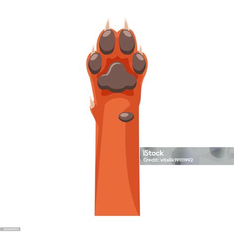 Fox Paw Icon Flat Style Stock Illustration Download Image Now