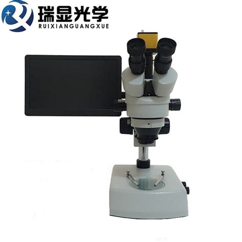 上下透光三目立体显微镜 东莞市瑞显光学仪器有限公司