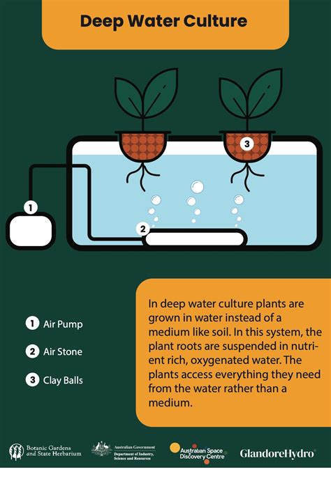 Gallery Hydroponic System Diagrams Glandore Hydroponics Hydro