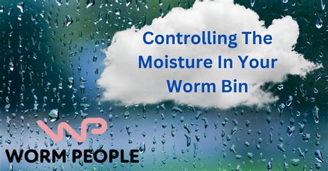 Controlling The Moisture In Your Worm Bin · Worm People