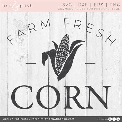 Farm Fresh Sign Svg Farm Fresh Corn Svg Farm Fresh Svg Etsy