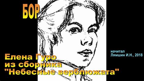 БОР Елена Гуро Небесные верблюжата YouTube
