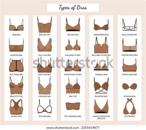 Types Bras Big Vector Set Lingerie Stock Vector Royalty Free 2355419877 Shutterstock