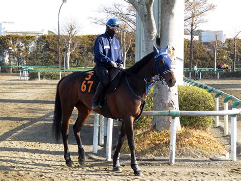 勝ち馬からg1馬が何頭も出ているg3毎日杯。クラシックへ向けて要チェックの一戦東スポ・藤井記者の“若駒”生情報！ 亀谷敬正 オフィシャル