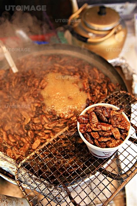 뻔데기 유토이미지 상세페이지 베이직샵 사진 21385403