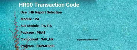 HR00 SAP Tcode For HR Report Selection