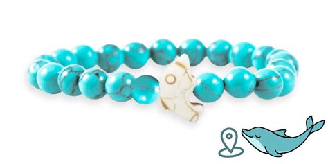 Dolphin Tracking Bracelet Clubocean