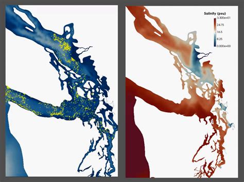 PSI Launches Salish Sea Modeling Center