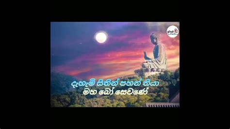 Budun Daka Niwan Dakinna Lyrics බුදුන් දැක නිවන් දකින්න 🙏 Youtube