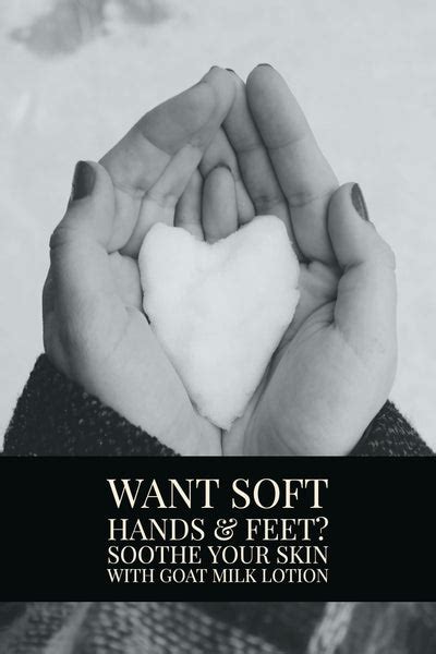 The Best Lotion For Soft Hands And Feet Bend Soap Company