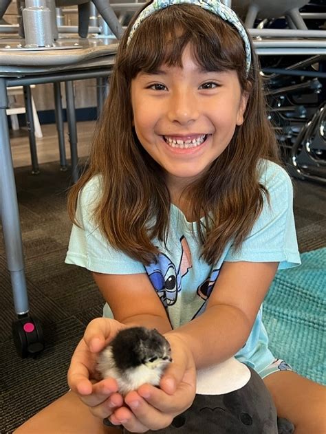 Schnepf Elementary School Schnepf Elementary School