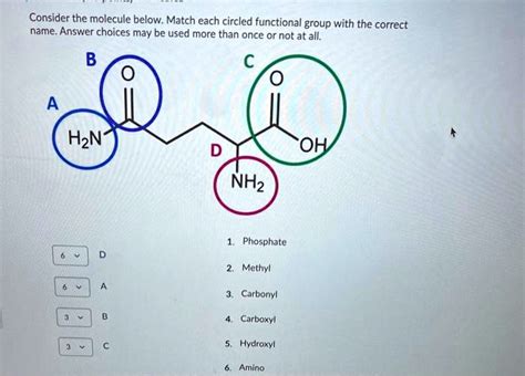 SOLVED Consider The Molecule Below Match Each Circled Functional Group With The Correct Name
