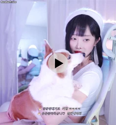 산책갈 생각에 신난 로로와 유은님 치지직 에펨코리아