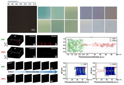 [보고서]하이브리드 나노구조 기반 나노픽셀 실시간 바이오 이미징 시스템 개발