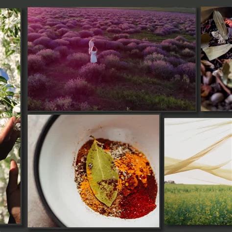 Prolitec Inc On Linkedin Escape With A New Scentsational Experience