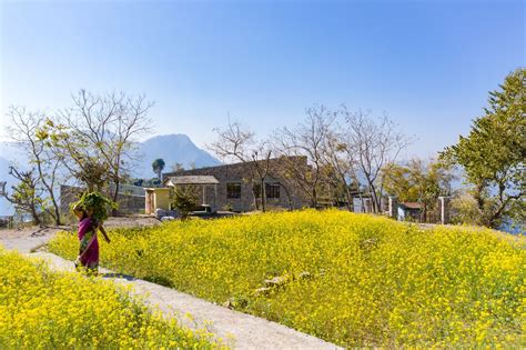 Morphogenesis Creates Forest Essentials Factory In Himalayan Foothills