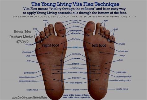 Namasted Oiled Here Is A Great Vita Flex Chart For The