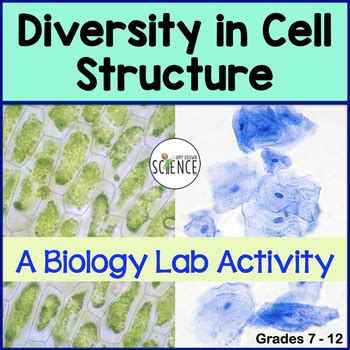Diversity Of Cell Structure Cell Organelles Lab By Amy Brown Science