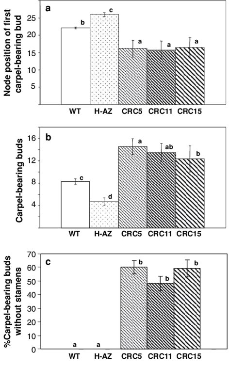 Sex Expression Patterns Along The Main Stem Of CRC Etr1 1 T 1 Melon Download Scientific