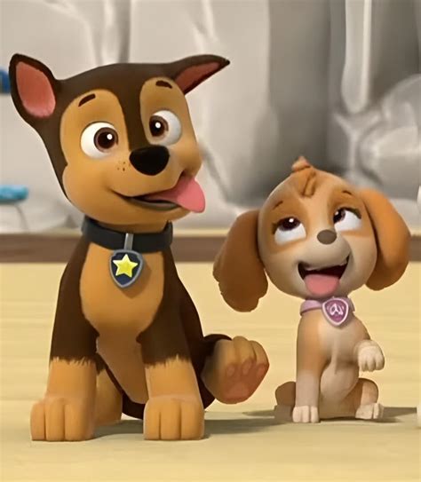 Chase X Skye Paw Patrol Coloring Paw Patrol Pups Skye