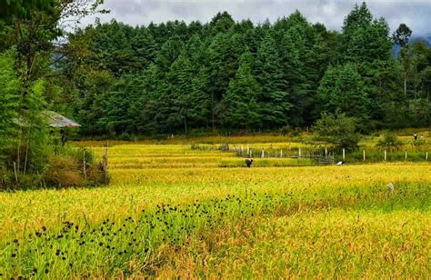 10 Stunningly Offbeat Places In North East India No One Told You About