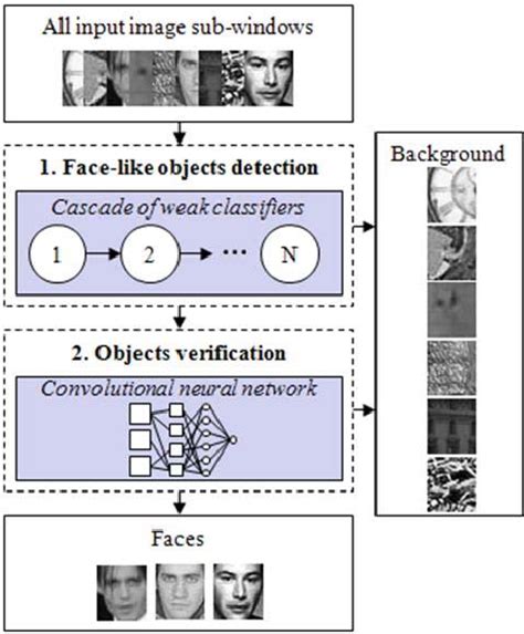 Figure 1 From Human Age Group Classification Of Facial Images With Subspace Projection And