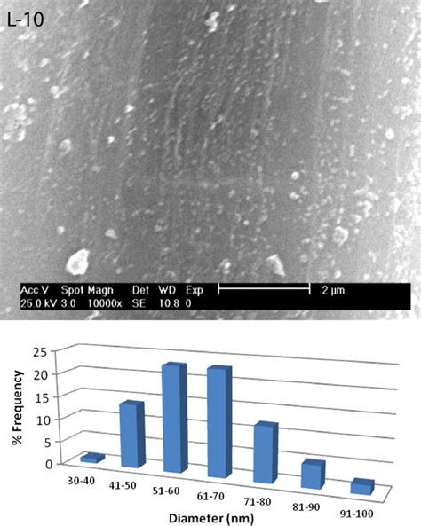 Sem Photographs And The Corresponding Particle Size Distribution