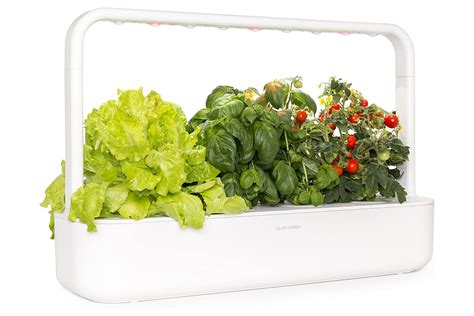 The 9 Best Indoor Herb Gardens For 2023